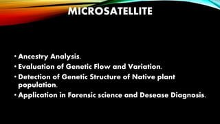 Microsatellite(ssr,str,vntr) | PPTX