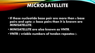 Microsatellite(ssr,str,vntr) | PPTX