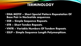 Microsatellite(ssr,str,vntr) | PPTX