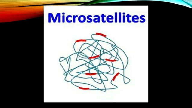 Microsatellite(ssr,str,vntr) | PPTX | Genetics | Science