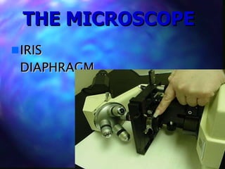 Microscope | PPT