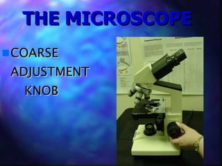 Microscope | PPT