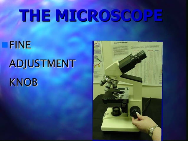 Microscope | PPT