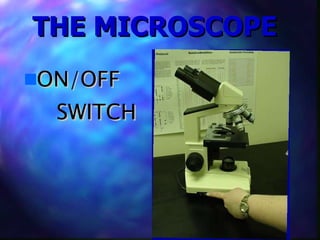 Microscope | PPT