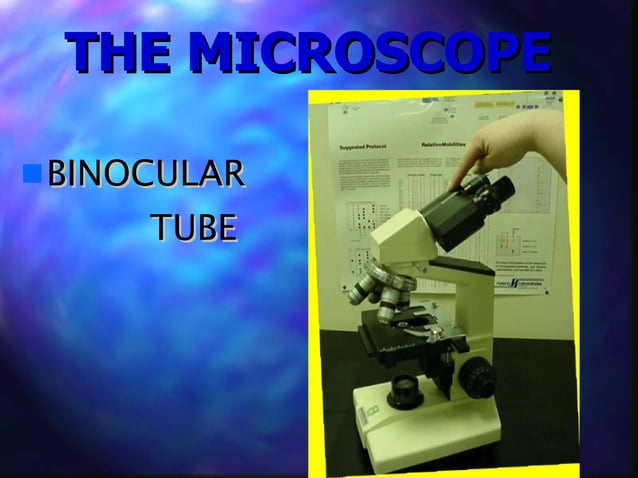 Microscope | PPT
