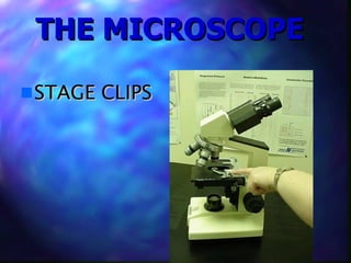 Microscope | PPT