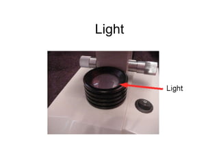 Microscope | PPT