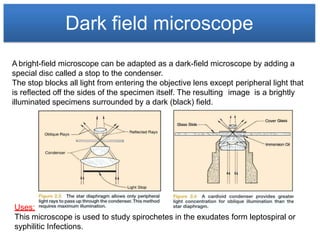 Microscope 120109025117-phpapp02 | PPTX