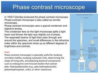 Microscope 120109025117-phpapp02 | PPTX