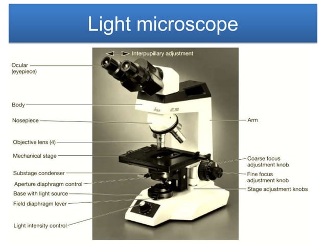Microscope | PPTX