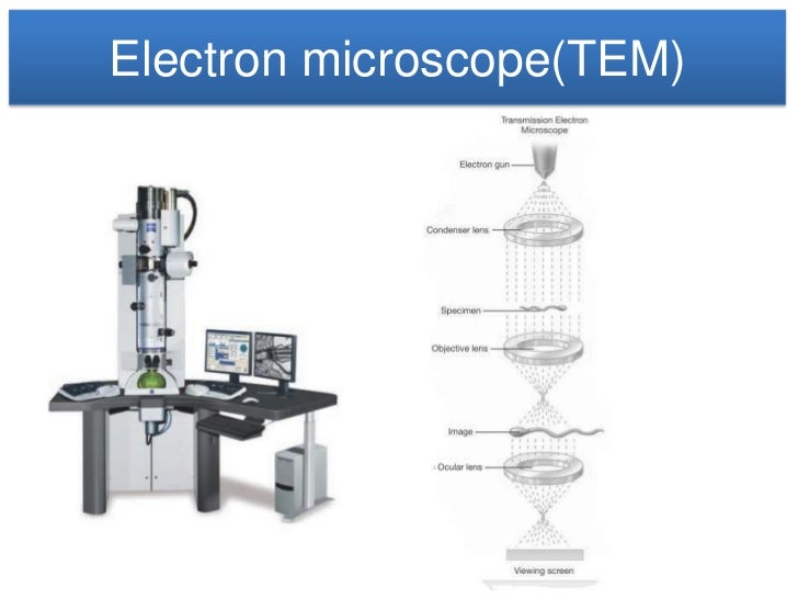 Parts transmission electron microscope - lomistate