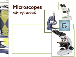 ชีววิทยา เรื่อง กล้องจุลทรรศน์ " Microscope" | PDF