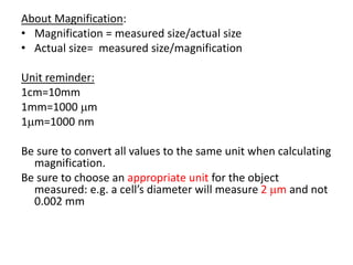 The Microscope | PPT