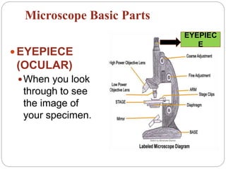 Microscope | PPTX