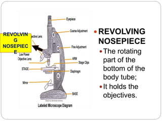 Microscope | PPTX