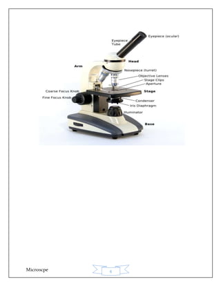 Microscope | PDF