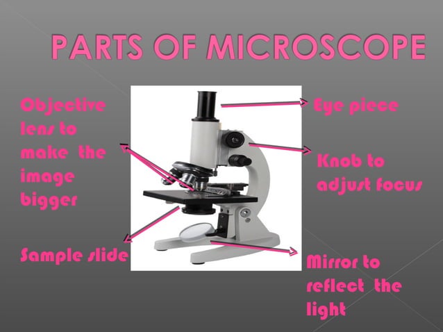 Microscope | PPT