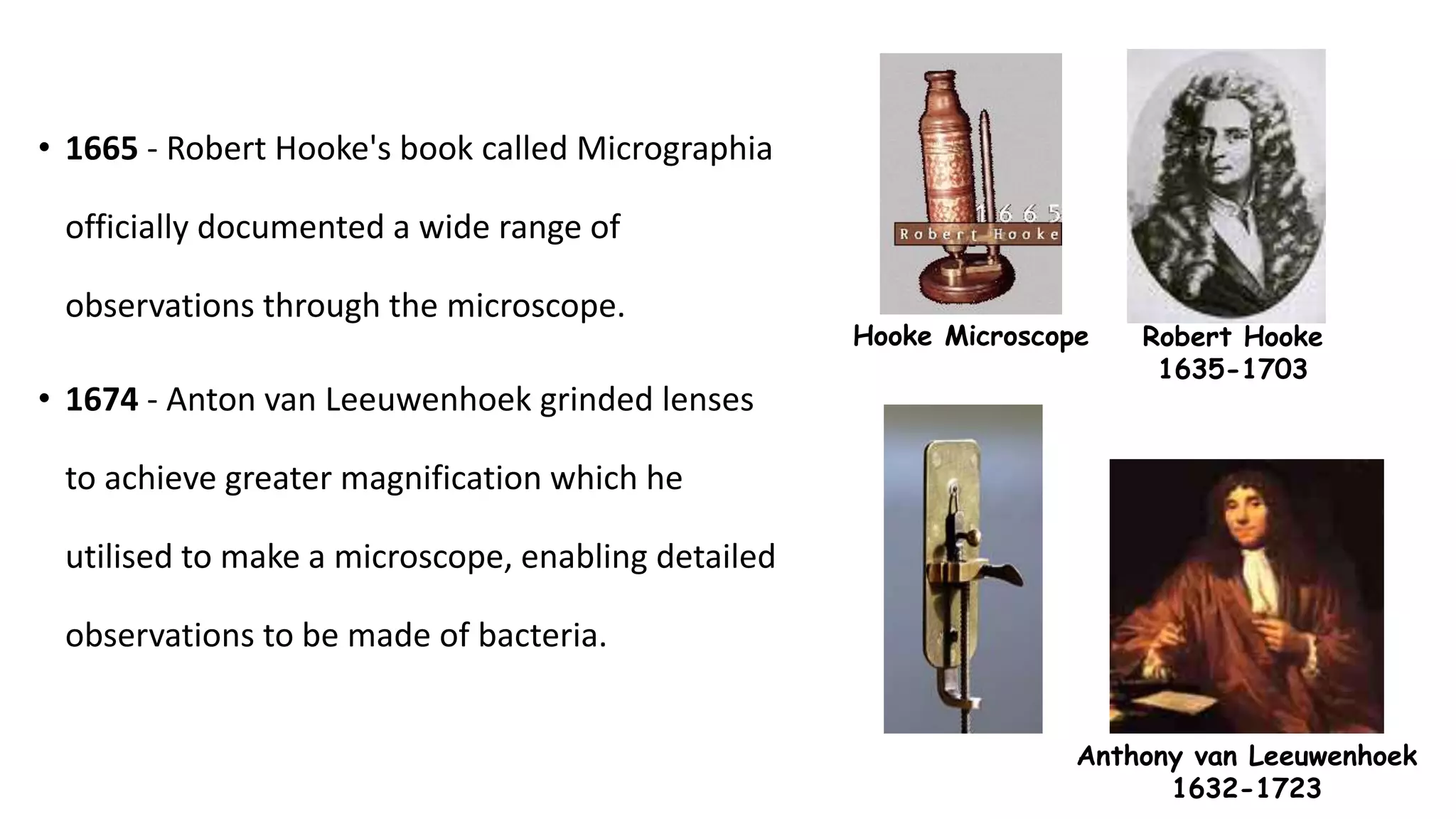 Microscope | PPTX