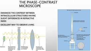 Microscope | PPT