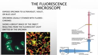 Microscope | PPT