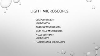 Microscope | PPT
