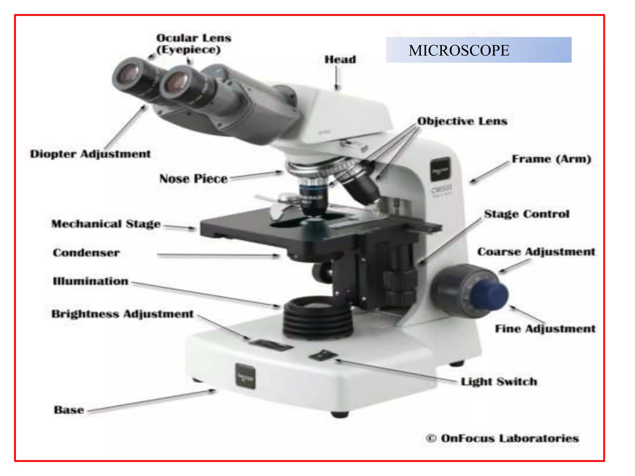 Microscope | PPTX