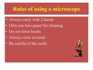 Microscope | PPTX