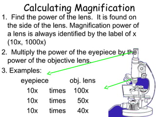 Microscope ...chanderhash..asu2017010100041 | PPT