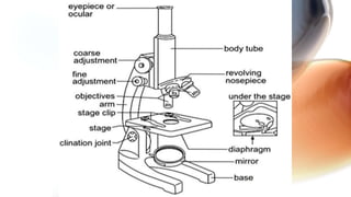 Parts, HIstory and Types of Microscope | PPTX