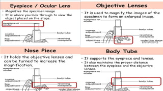 Parts, HIstory and Types of Microscope | PPTX
