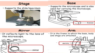 Parts, HIstory and Types of Microscope | PPTX