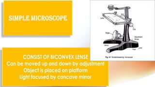 Parts, HIstory and Types of Microscope | PPTX