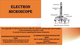 Parts, HIstory and Types of Microscope | PPTX