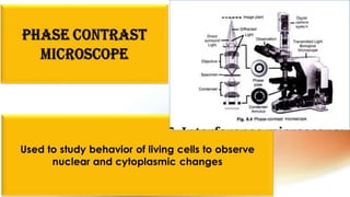 Parts, HIstory and Types of Microscope | PPTX
