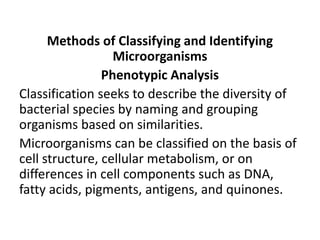 Microorganisms under Microscope | PPTX