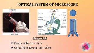 MIRCOSCOPE | PPTX