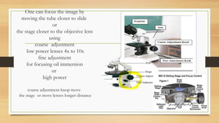 Microscope | PDF