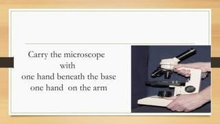 Microscope | PDF