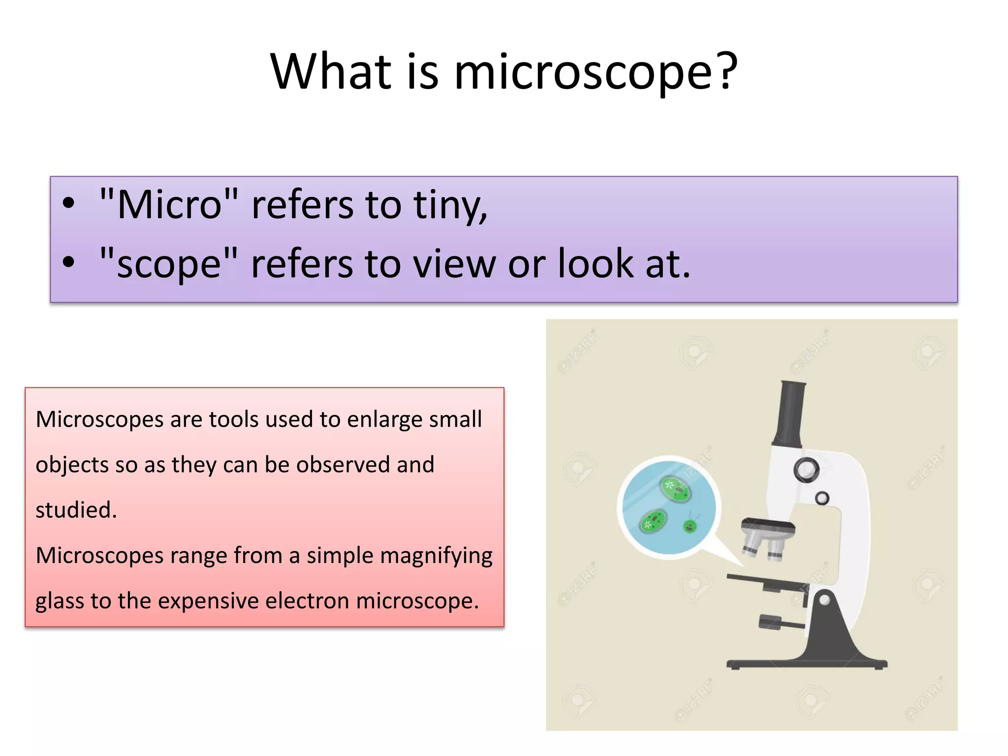Microscope | PDF