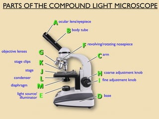 THE MICROSCOPE. | PDF
