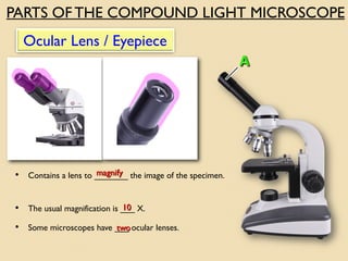 THE MICROSCOPE. | PDF