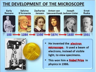 THE MICROSCOPE. | PDF