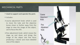 Microscope.pptx