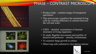 Microscope.pptx | Biological Sciences | Science
