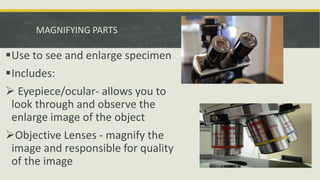 Microscope.pptx