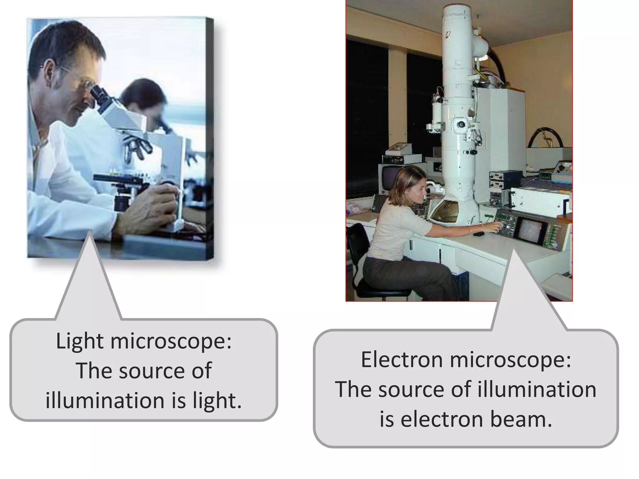 MICROSCOPE.pptx