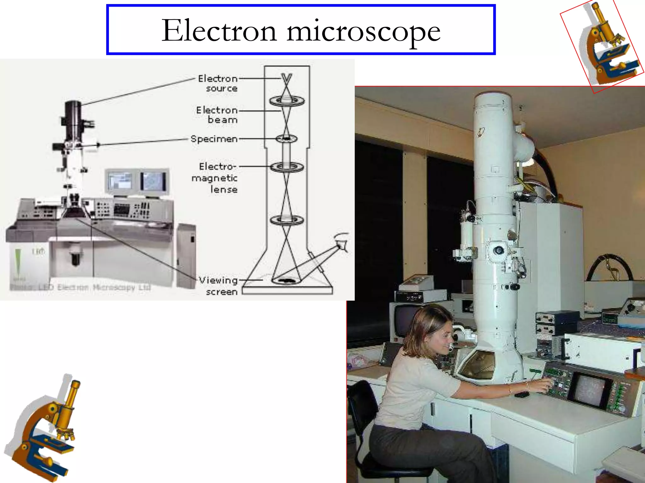 MICROSCOPE.pptx