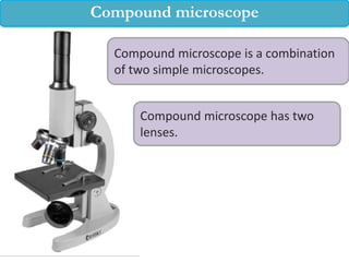 MICROSCOPE.pptx