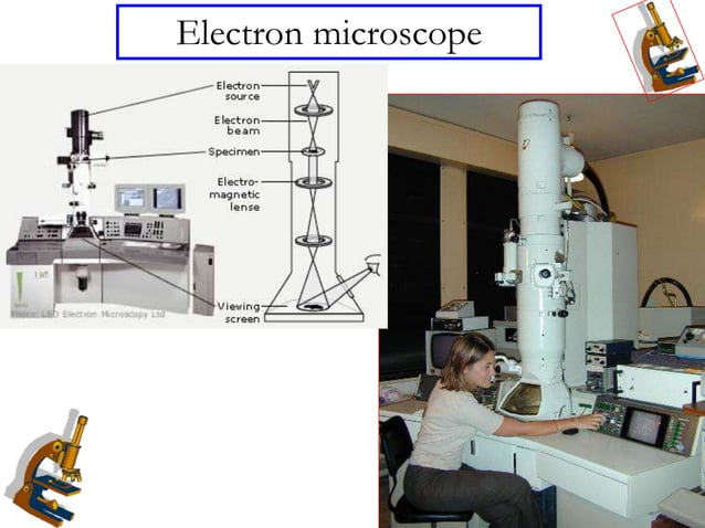 MICROSCOPE.pptx
