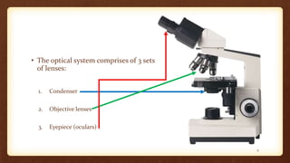 Microscope.pptx